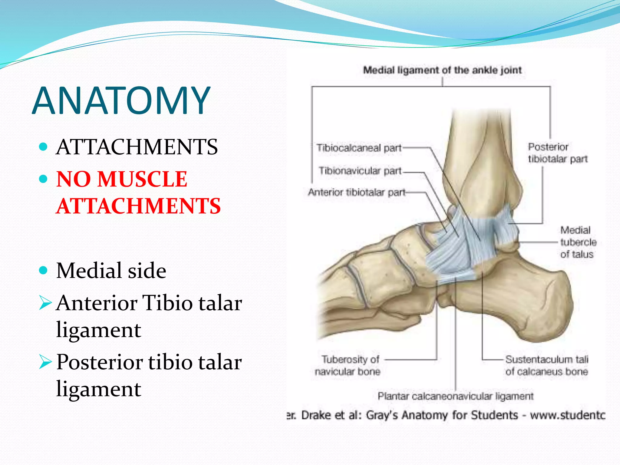 talus fracture | PPTX