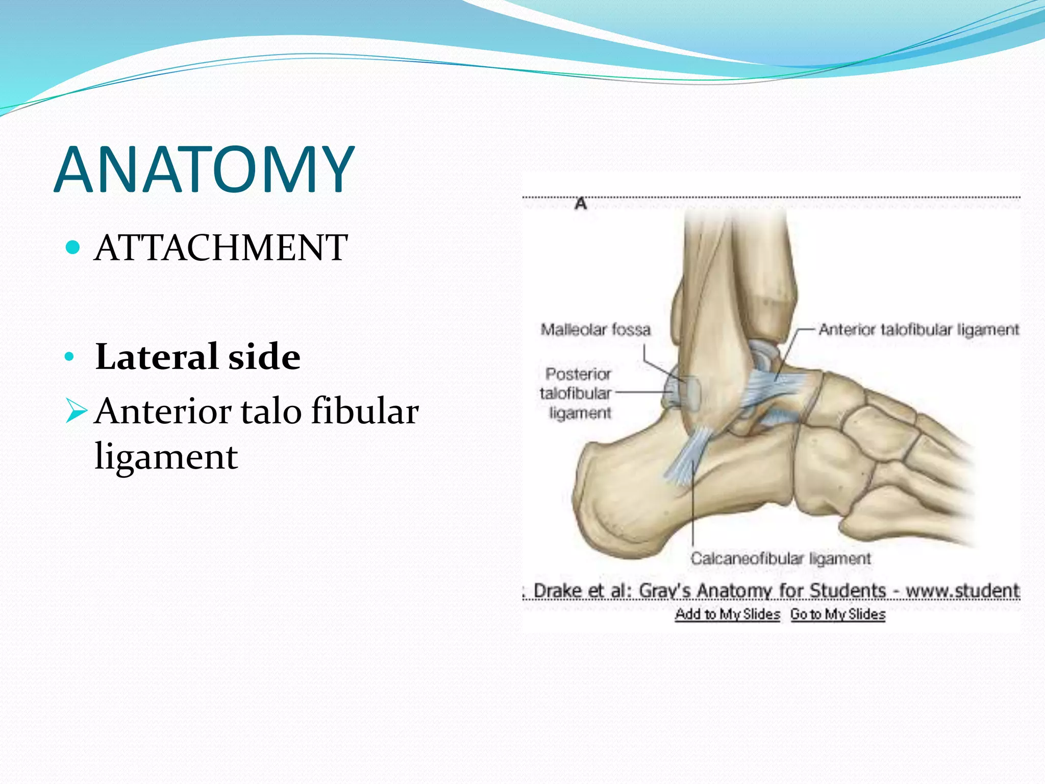 talus fracture | PPTX