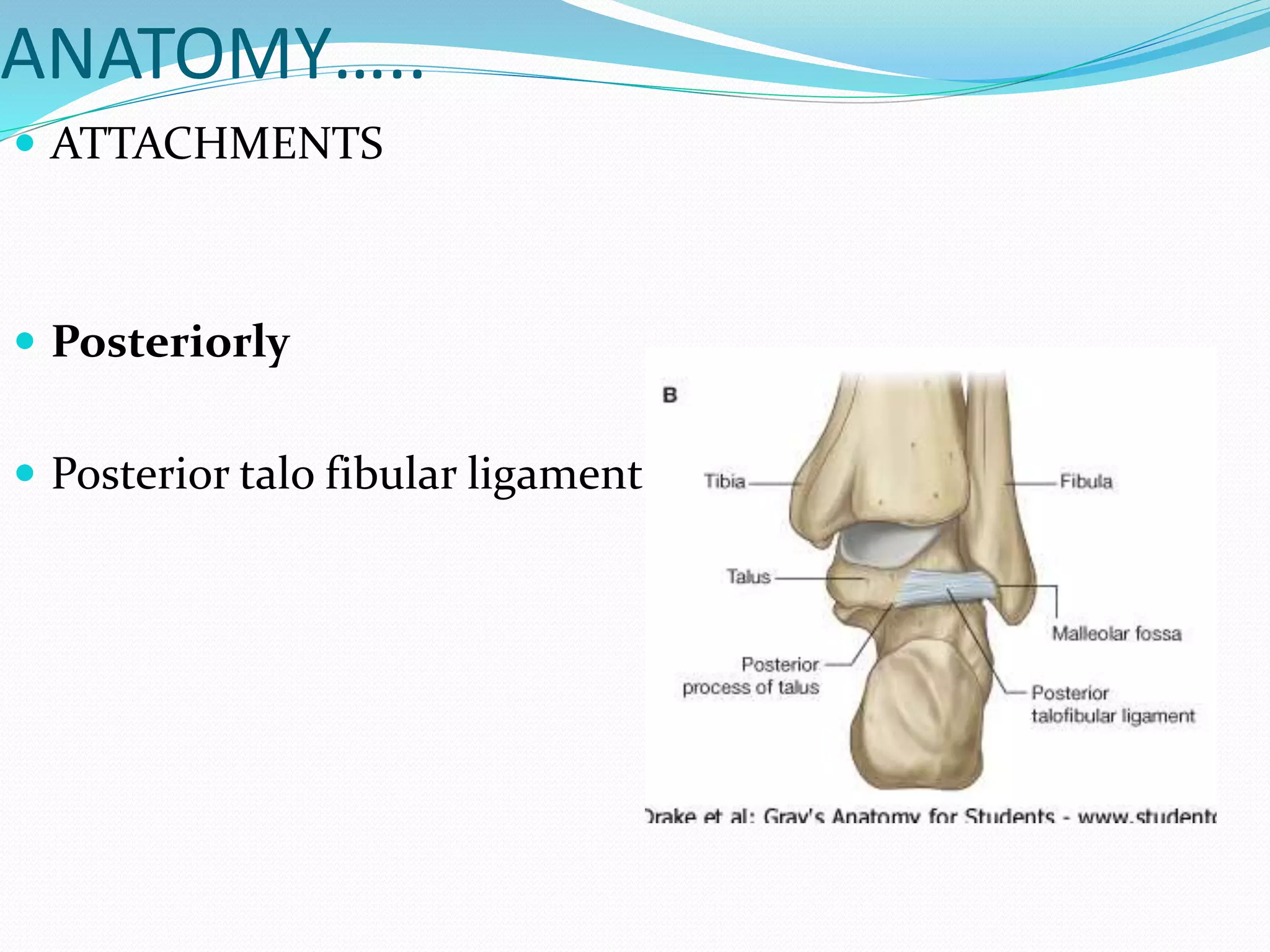 talus fracture | PPTX