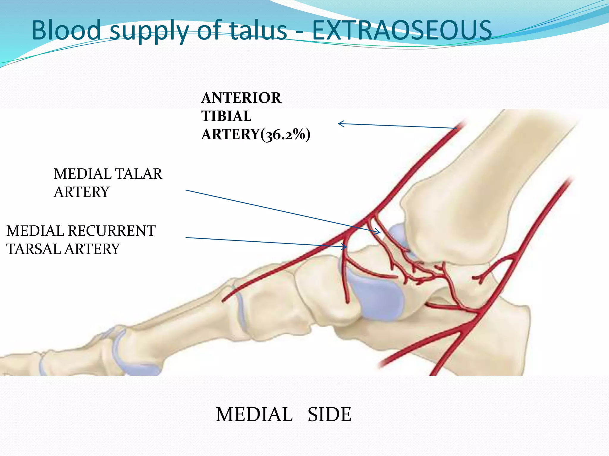 talus fracture | PPTX