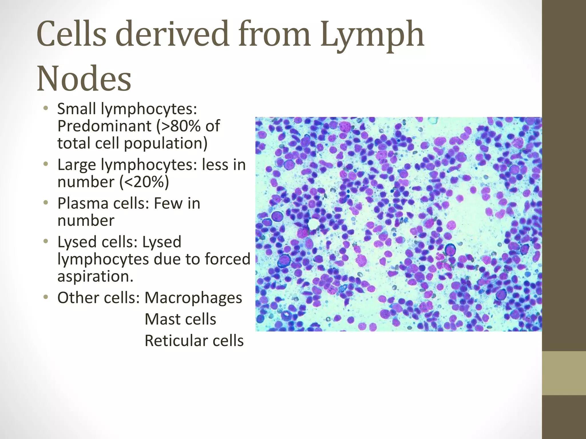 Lymph Node Impression smear cytology | PPTX