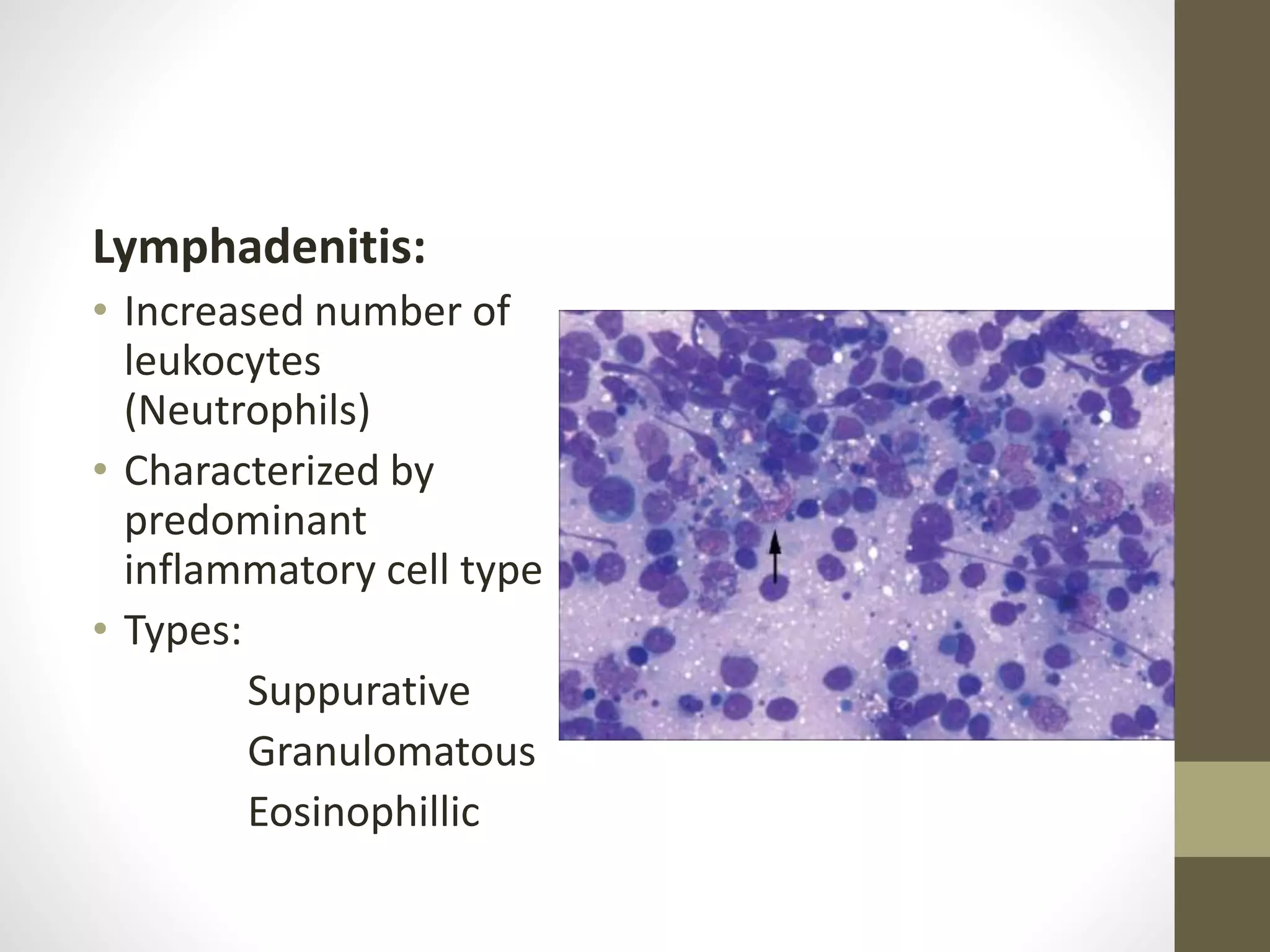 Lymph Node Impression smear cytology | PPTX