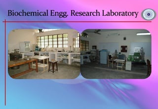 Department ppt_IIT Roorkee | PPS