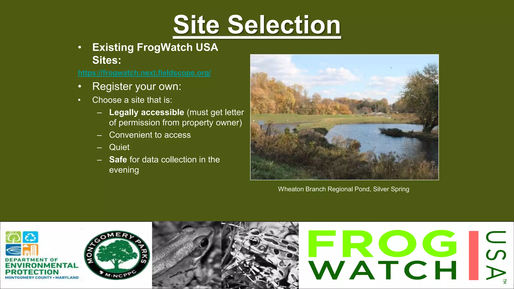 Dep breakout room from FrogWatch 102 training | PPT