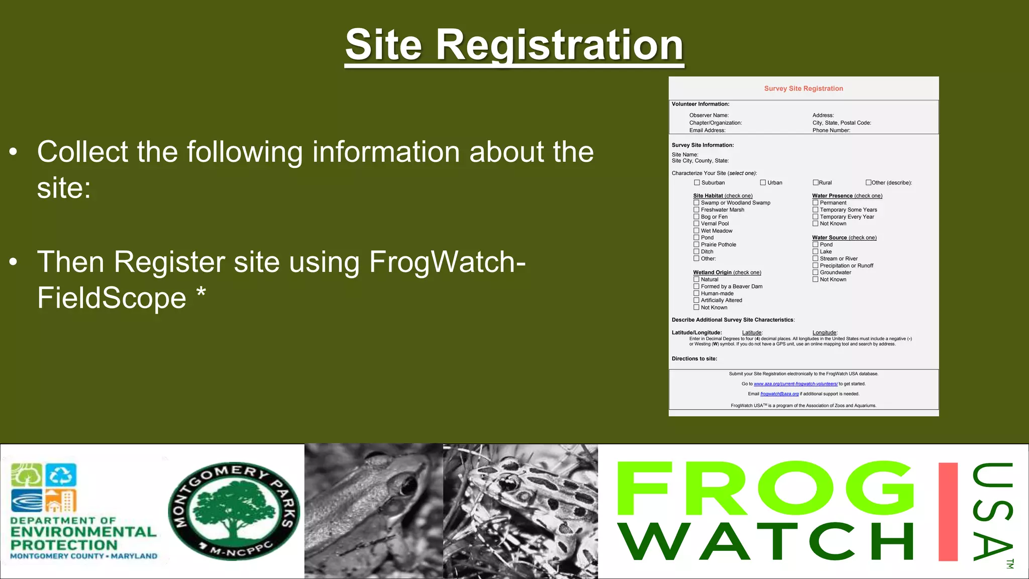 Dep breakout room from FrogWatch 102 training | PPT