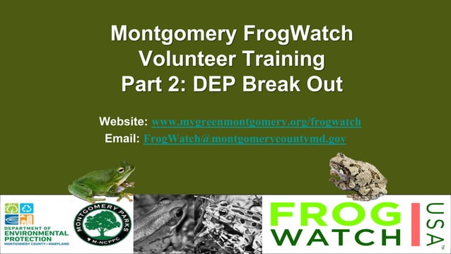 Dep breakout room from FrogWatch 102 training | PPT
