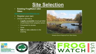 Dep breakout room from FrogWatch 102 training | PPT