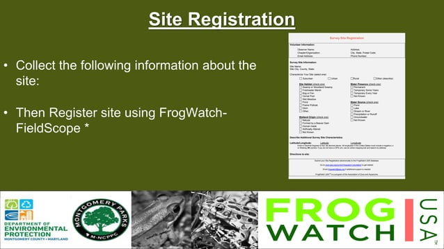 Dep breakout room from FrogWatch 102 training | PPT