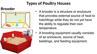 DepED-G11-Q1-M2-Setting Up a Poultry House.pptx