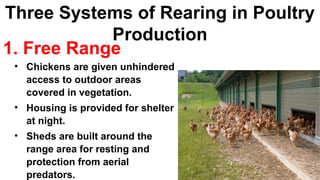 DepED-G11-Q1-M2-Setting Up a Poultry House.pptx