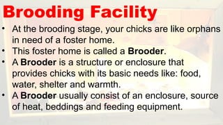 DepED-G11-Q2-M4-1-Brooding & Setting up a brooder.pptx