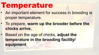 DepED-G11-Q2-M4-1-Brooding & Setting up a brooder.pptx