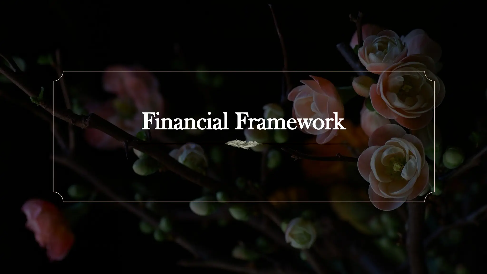 DepEd Financial Management Objective and Framework.pptx