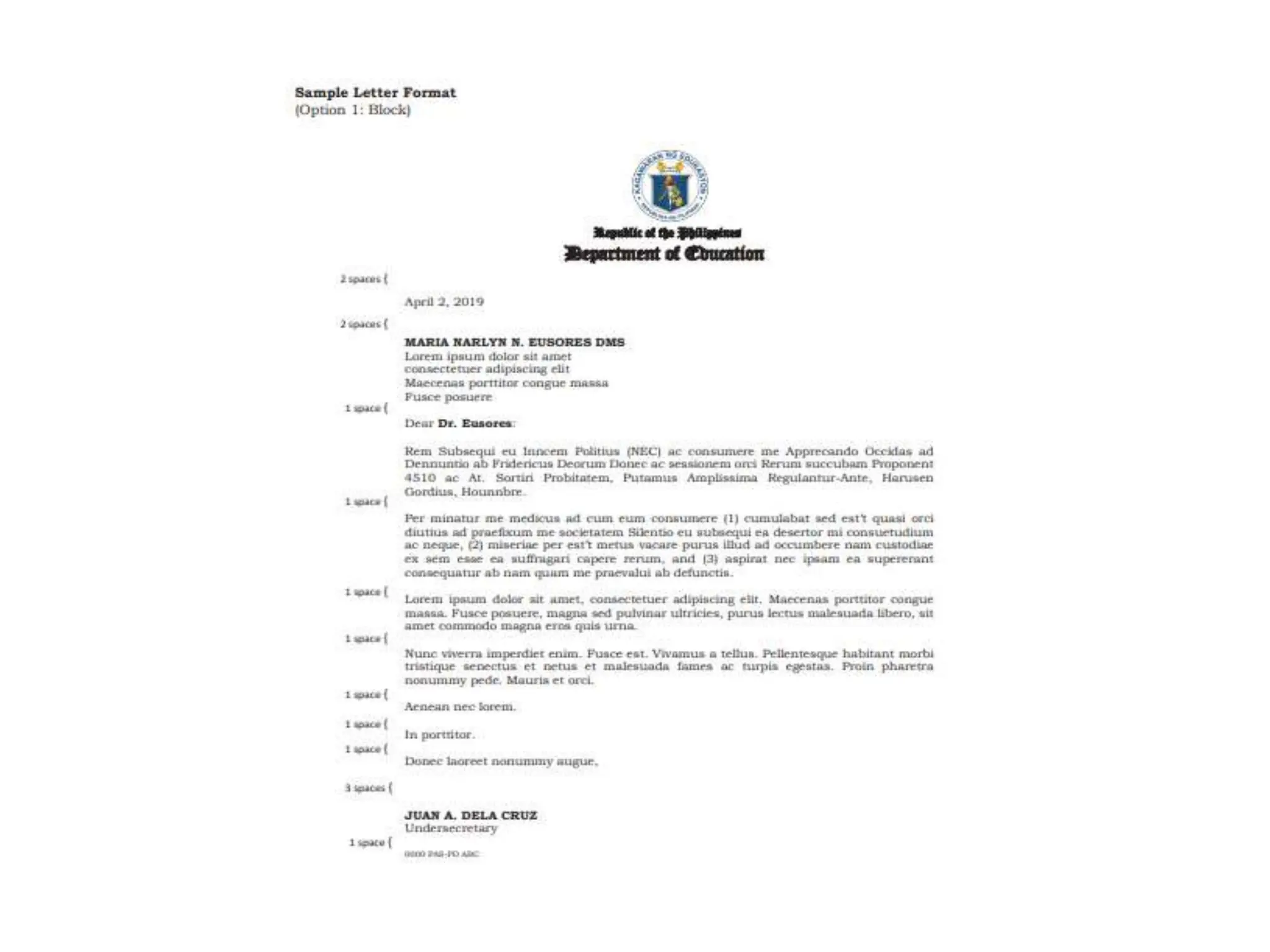 Deped Manual of Style.pptx