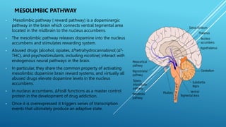 Drug dependence types , causes and mechanism of action | PPTX