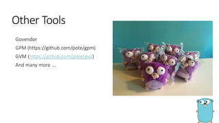 Dependency management in golang | PDF | Programming Languages | Computing