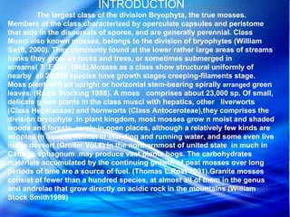 Survey of class musci | PPT