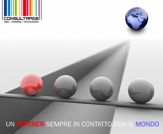 company profile | PDF