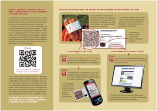 Depliant carota s. rocco | PPT