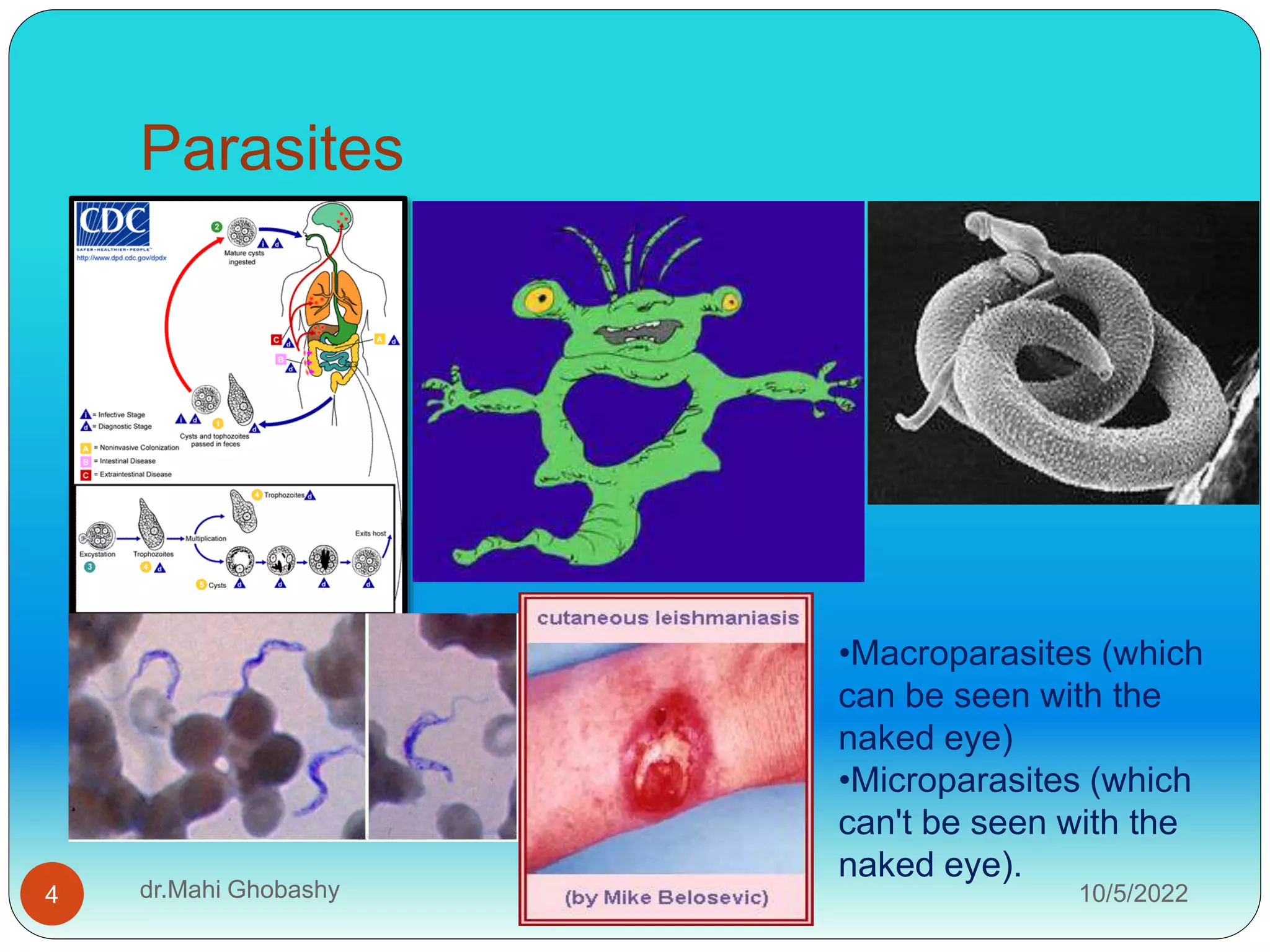 deploma 1 Lecture one 2012.pptx