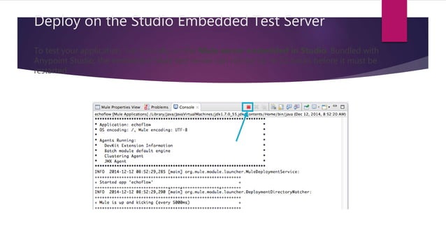 Deployingmuleapplications 160903085602 Ppt 