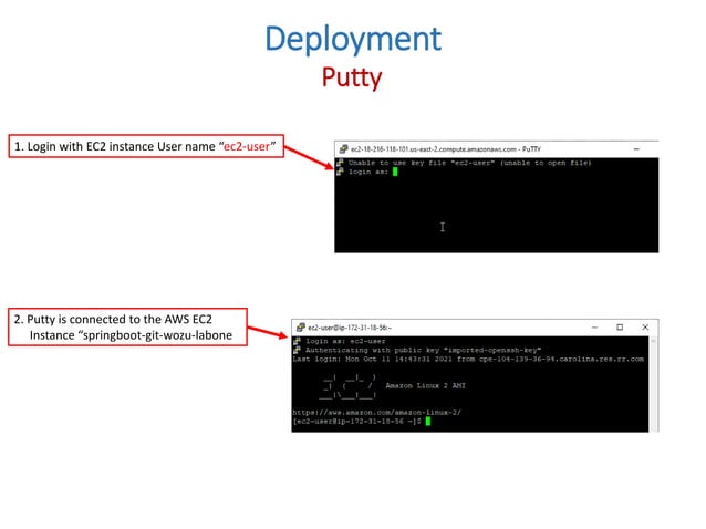 Deployment of EC2 Instance to Amazon Web Services | PDF | Cloud Computing | Internet