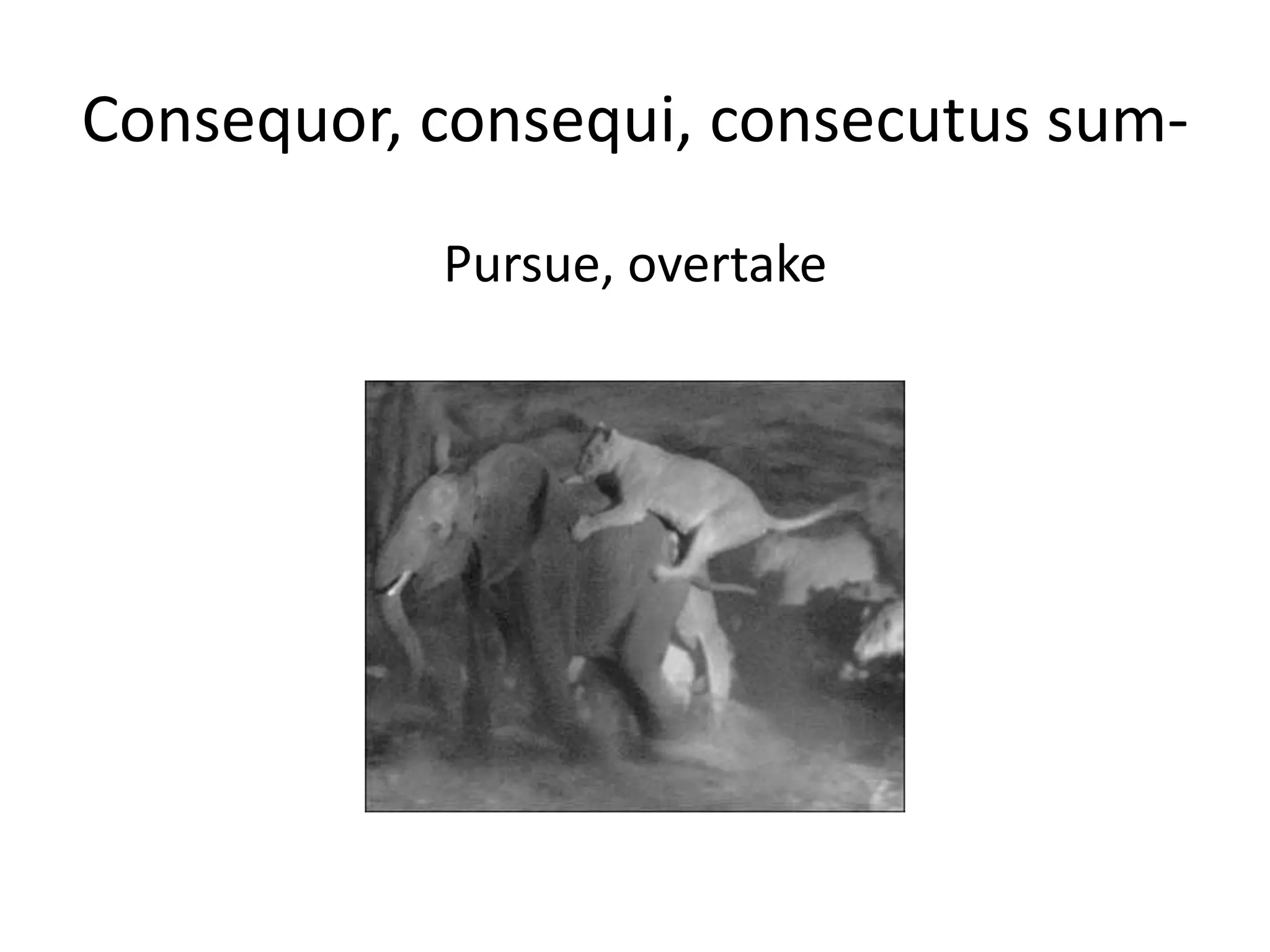 Deponent verbs maggie montler | PPT