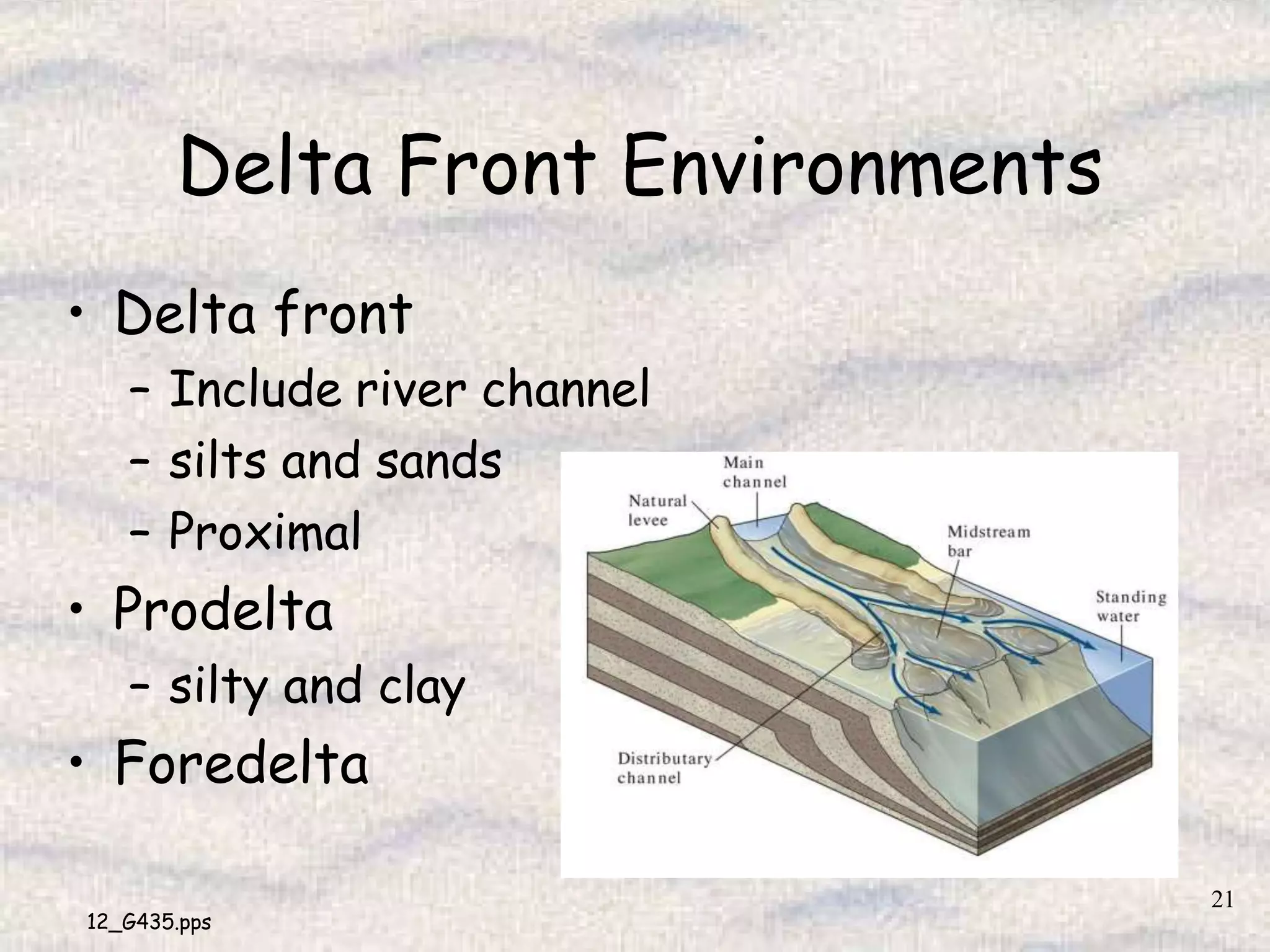 depositional-environments-and-sedimentary-facies.pptx