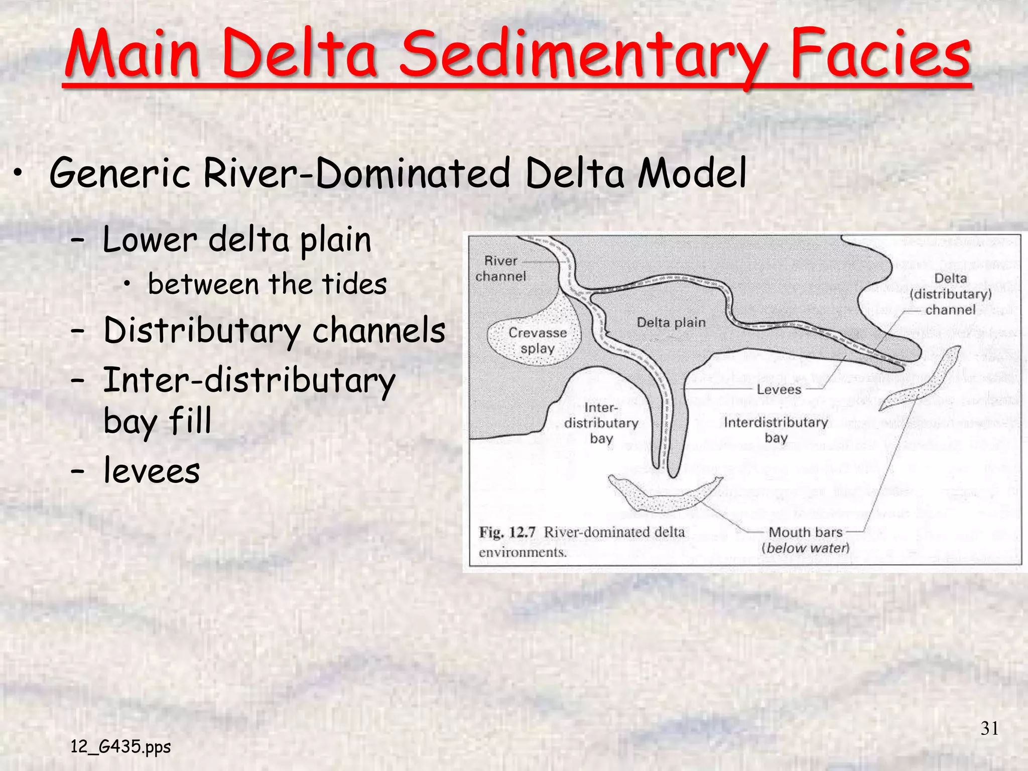 depositional-environments-and-sedimentary-facies.pptx