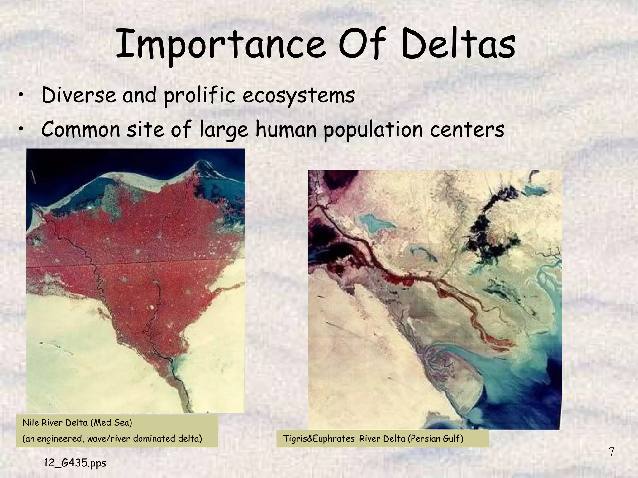 depositional-environments-and-sedimentary-facies.pptx
