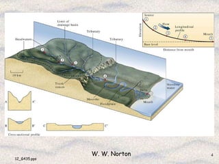 depositional-environments-and-sedimentary-facies.pptx