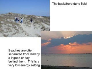 Depositional Environment.ppt