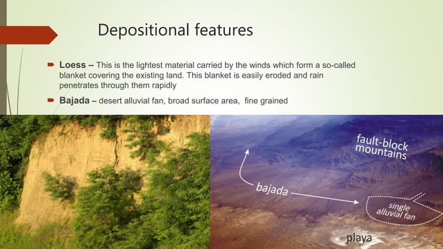 Depositional environments | PPTX