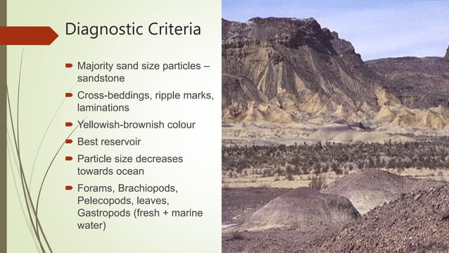 Depositional environments | PPTX