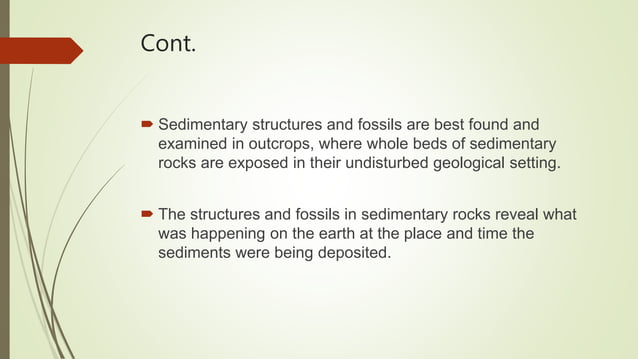 Depositional environments | PPTX