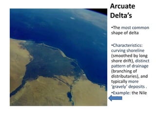 Arcuate Delta Diagram