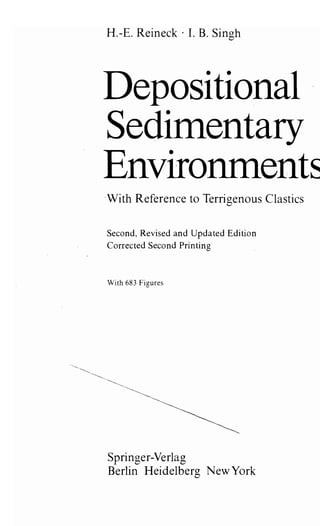 Depositional sedimentary environments | PDF