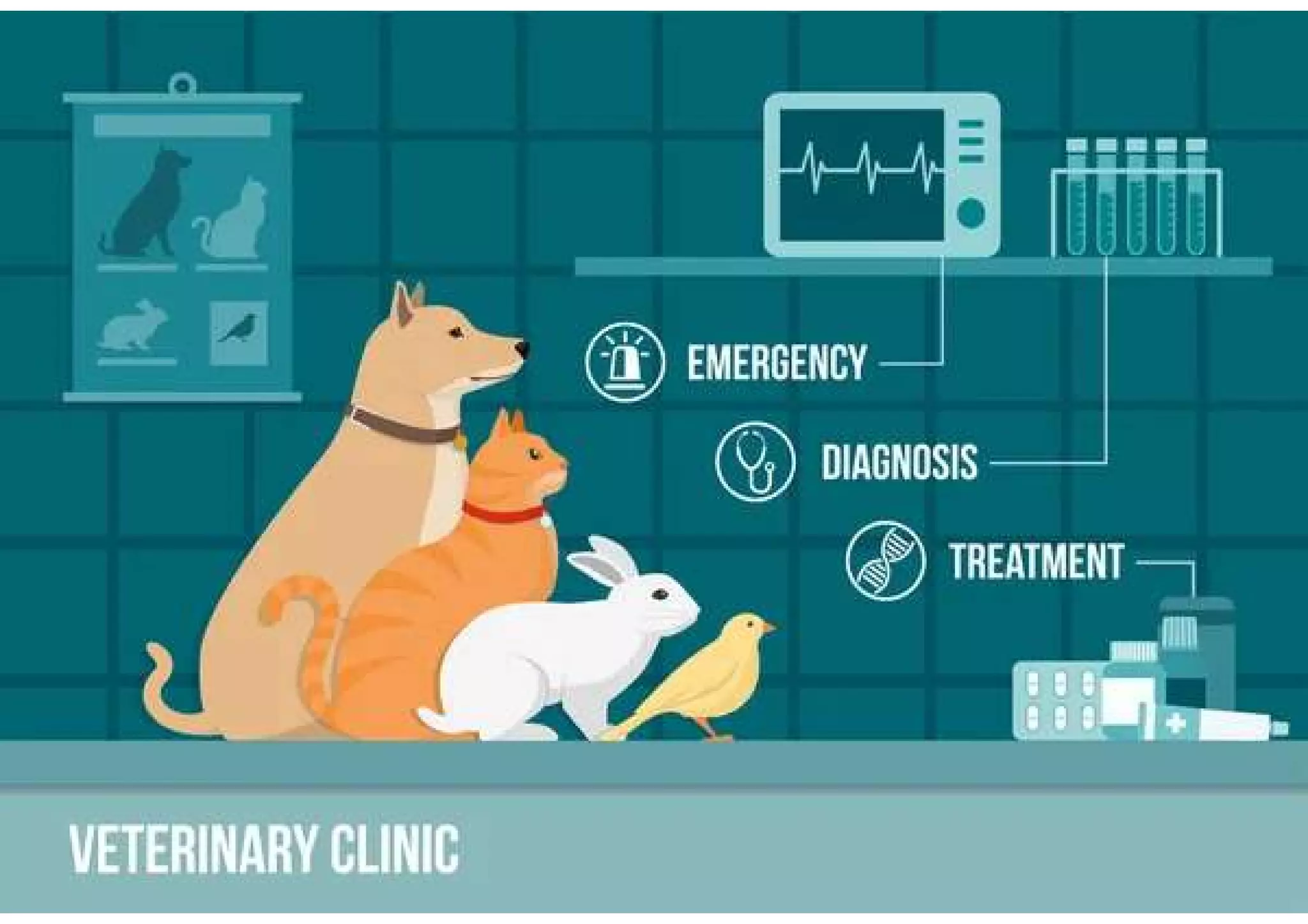 Custom Veterinary Hospital Management System | Chetu | PPT