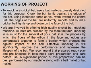 BAT KNOCKING MACHINE PART 2 | PPTX