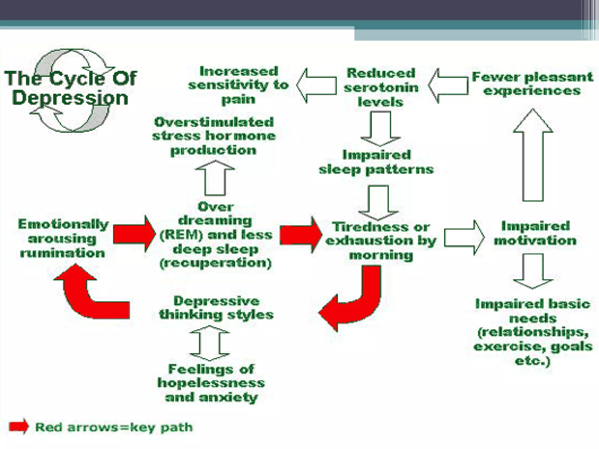Depression | PPT