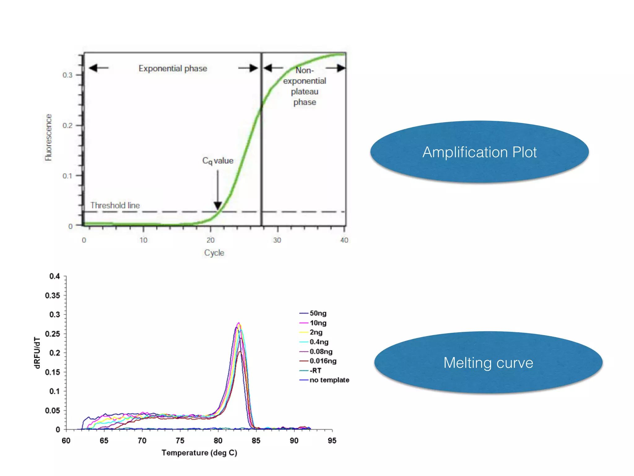 Molecular mechanism underlying Depression: The relationship between ...