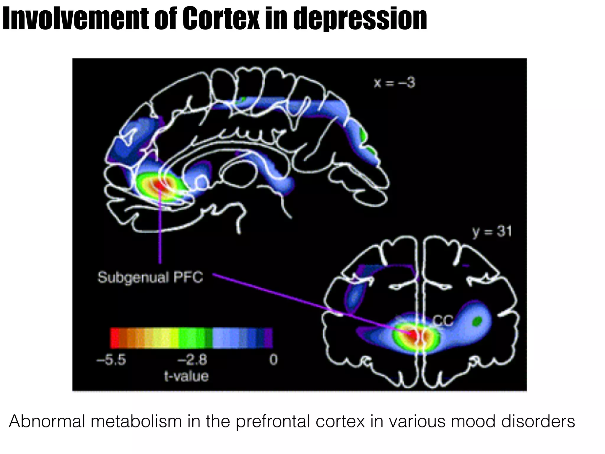 Molecular mechanism underlying Depression: The relationship between ...