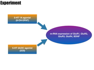 Molecular mechanism underlying Depression: The relationship between ...