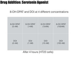 Molecular mechanism underlying Depression: The relationship between ...