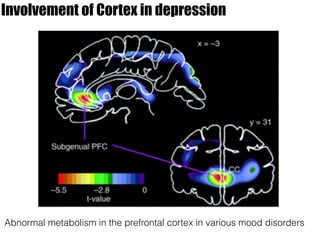 Molecular mechanism underlying Depression: The relationship between ...