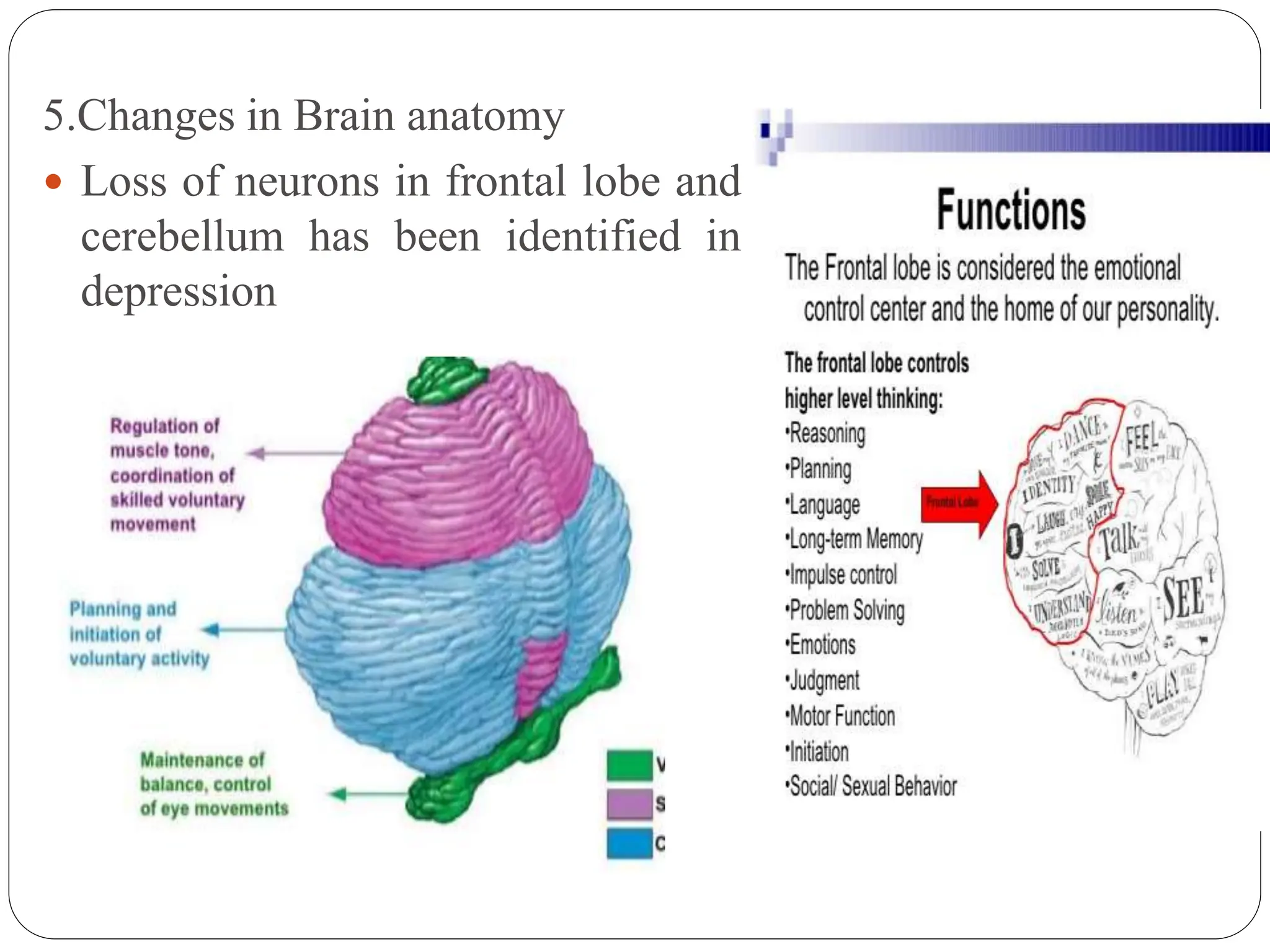 Depression/ Public health/Mental health in public health.pptx