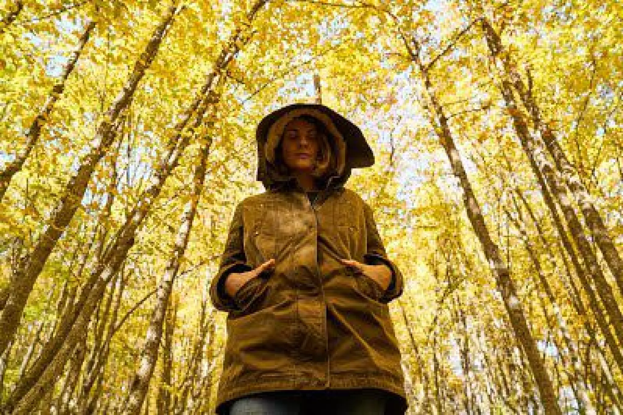 Wayne Imber | PDF | Mental Health | Diseases and Conditions