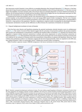 Depression--an-unmet-health-need-in-Africa--Understanding-the-pro_2024 ...