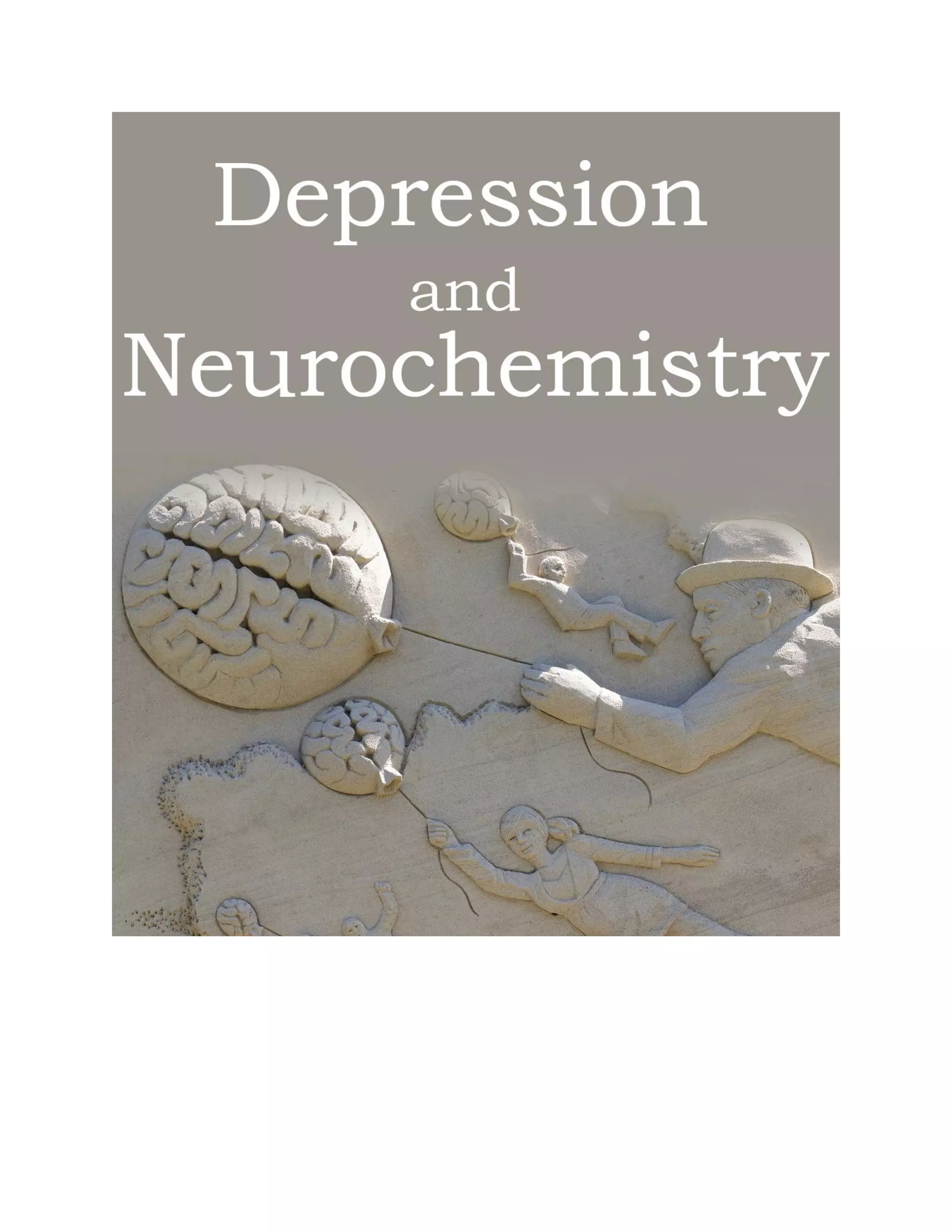 Depression and Neurochemistry | PDF