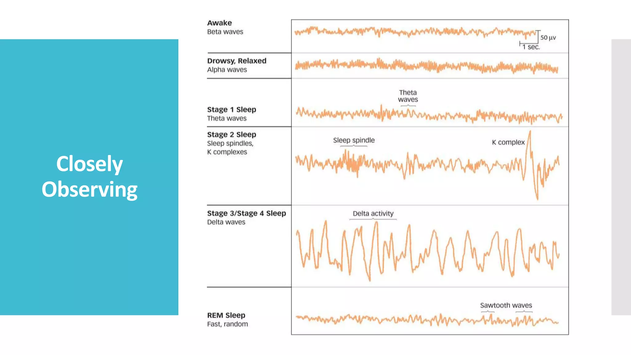 Depression analysis system using eeg | PPTX | Artificial Intelligence | Technology & Computing
